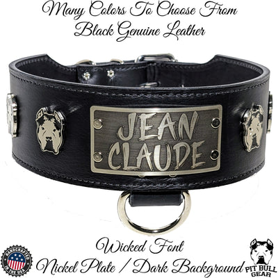 Pit Bull Gear™ Custom Leather Dog Collars & Harnesses, USA