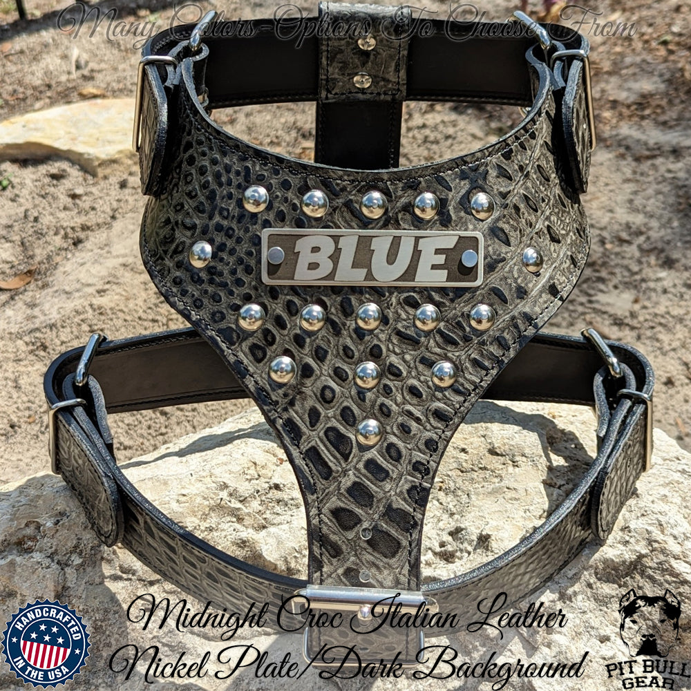Personalized Studded Leather Dog Harness - Pit Bull Gear