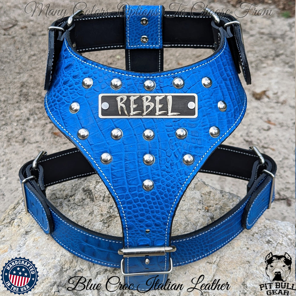 Personalized Studded Leather Dog Harness - Pit Bull Gear
