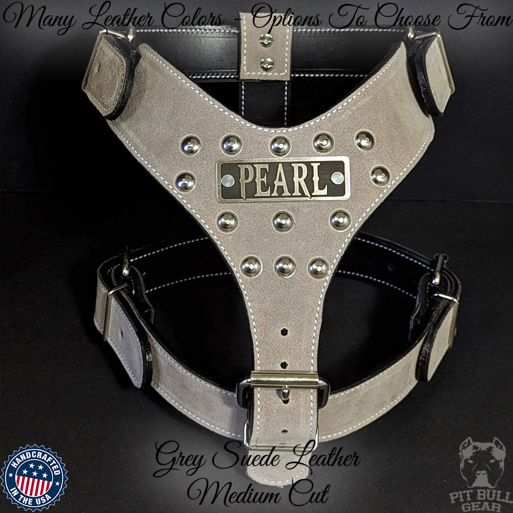 Personalized Studded Leather Dog Harness - Pit Bull Gear