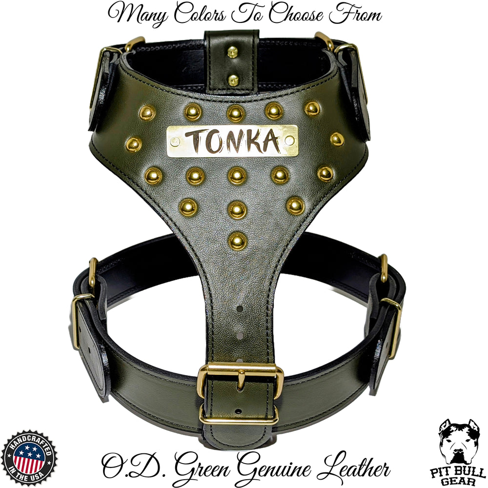 Personalized Studded Leather Dog Harness - Pit Bull Gear
