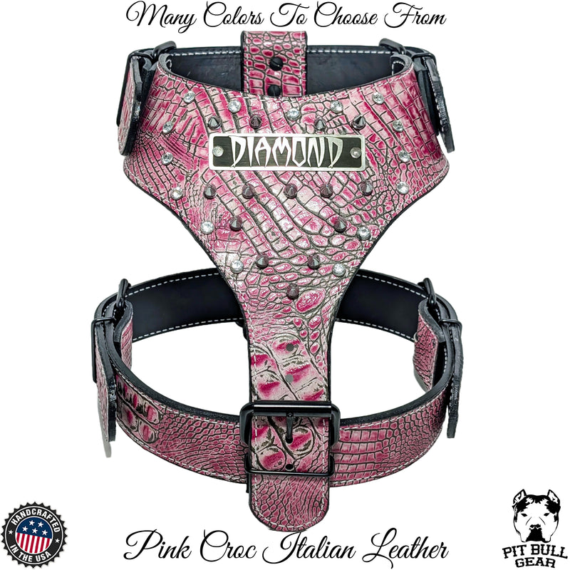 Pit Bull Gear - Harnesses