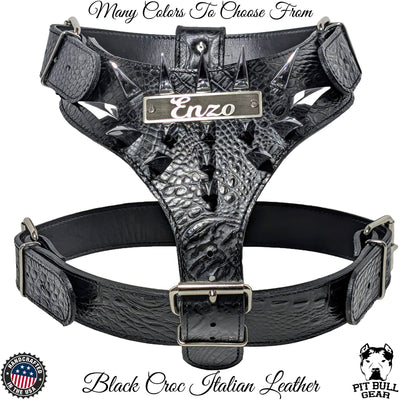 Pit Bull Gear - Harnesses