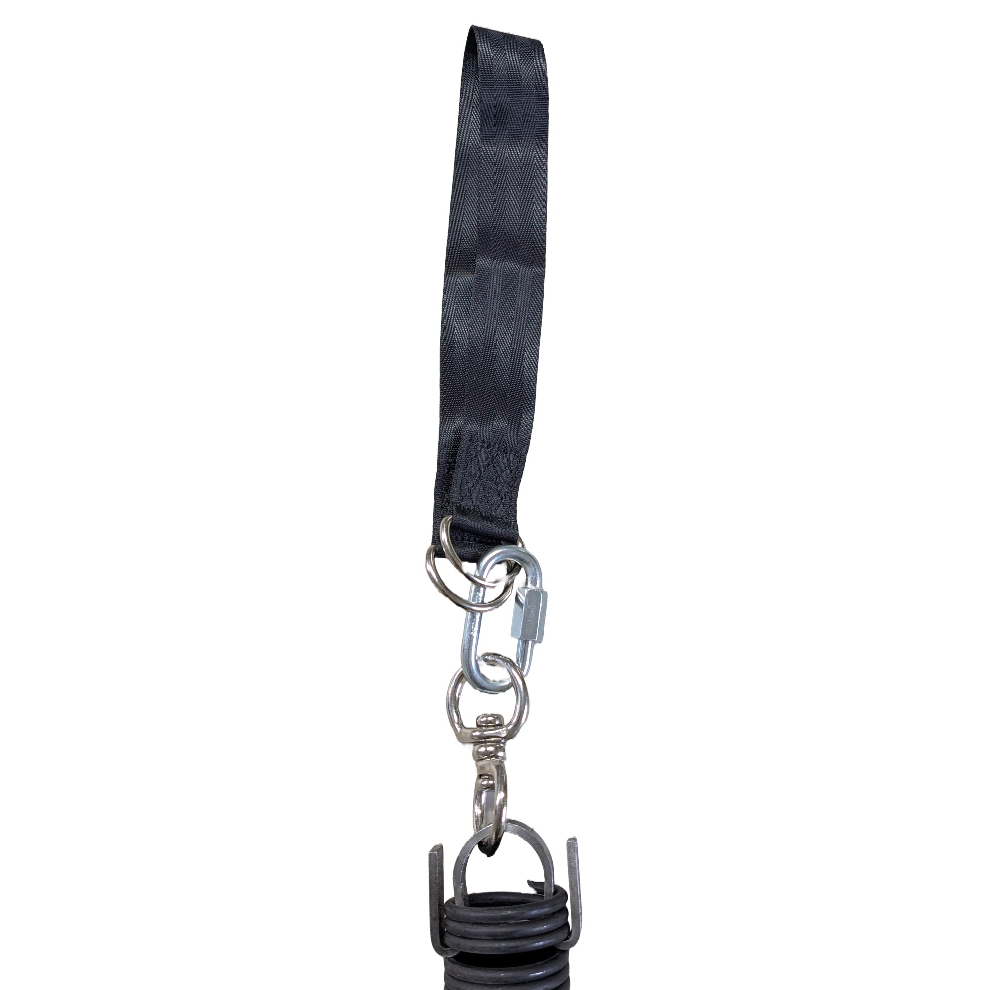 Spring Pole by Pit Bull Gear Heavy Duty Exercise Toy for Dogs