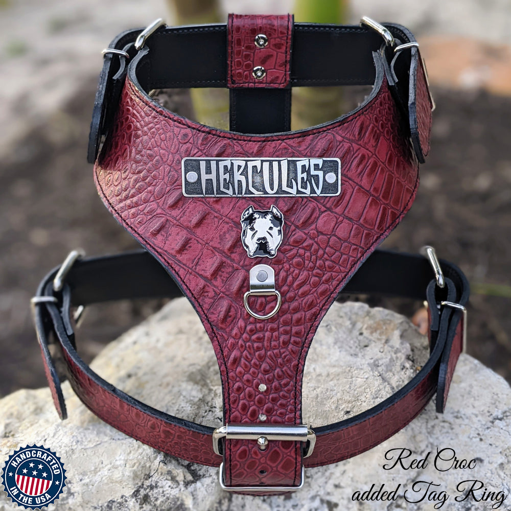 NH12 - Personalized Bully Leather Harness | PIT BULL GEAR - Pit Bull Gear