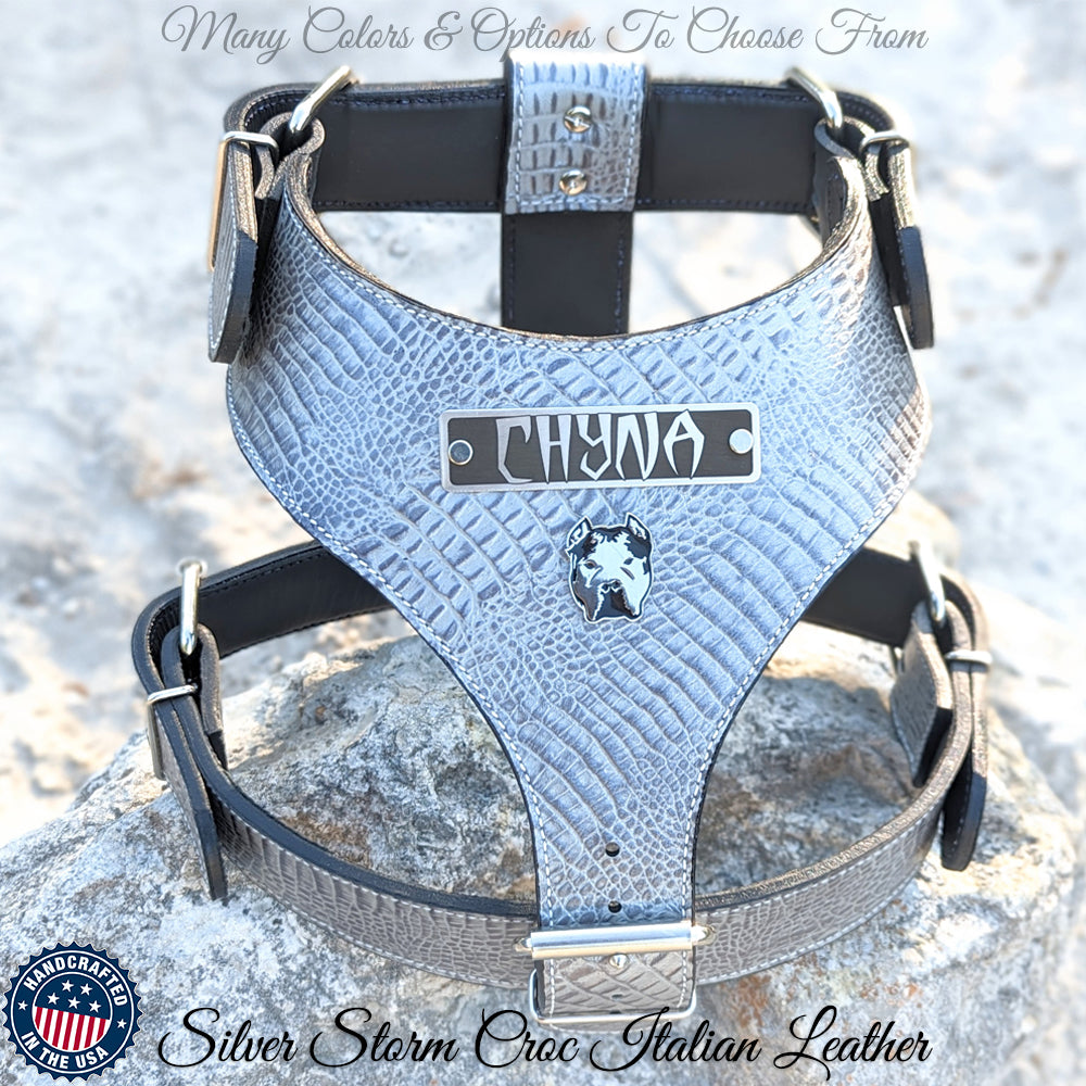 NH12 - Personalized Bully Leather Harness | PIT BULL GEAR - Pit Bull Gear